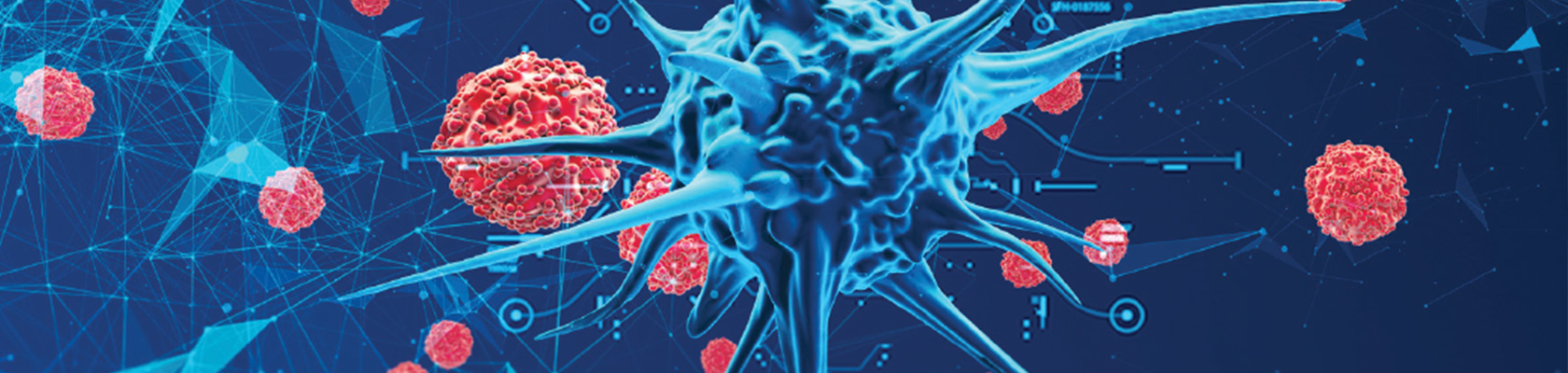 Hematology and Oncology - Al Zahraa Hospital University Medical Center